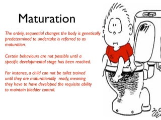Lesson 1 behaviours not dependent on learning | KEY