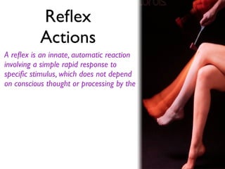 Lesson 1 behaviours not dependent on learning | KEY