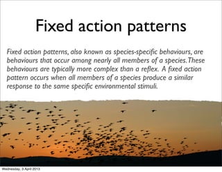 Lesson 1 behaviours not dependent on learning 2013 | PDF