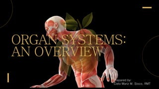 Lesson 1-Body Orientation (ANAPHY 1) .pdf