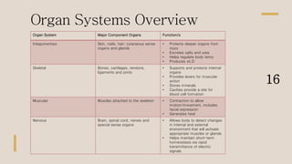 Lesson 1-Body Orientation (ANAPHY 1) .pdf