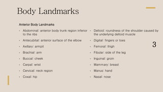 Lesson 1-Body Orientation (ANAPHY 1) .pdf