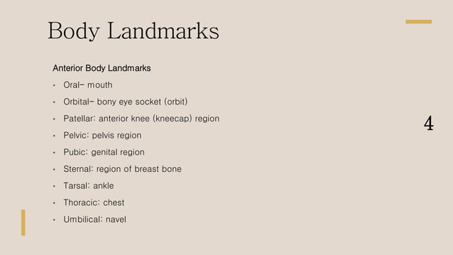 Lesson 1-Body Orientation (ANAPHY 1) .pdf