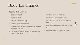 Lesson 1-Body Orientation (ANAPHY 1) .pdf