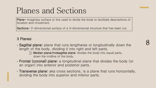 Lesson 1-Body Orientation (ANAPHY 1) .pdf