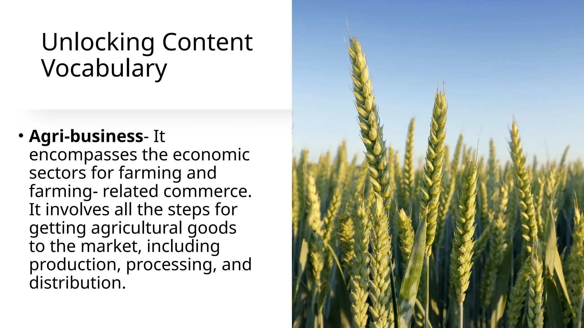 Grade 7 AFA - Career and Business Opportunities in Agriculture ...