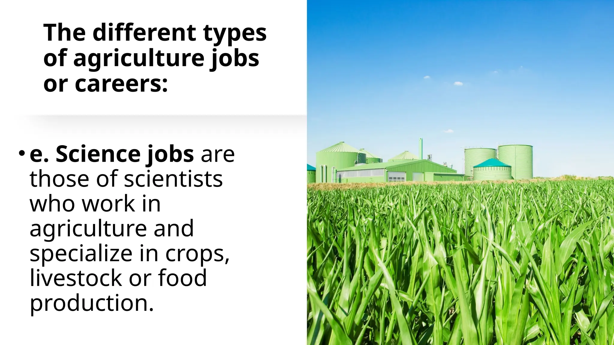 Grade 7 AFA - Career and Business Opportunities in Agriculture ...