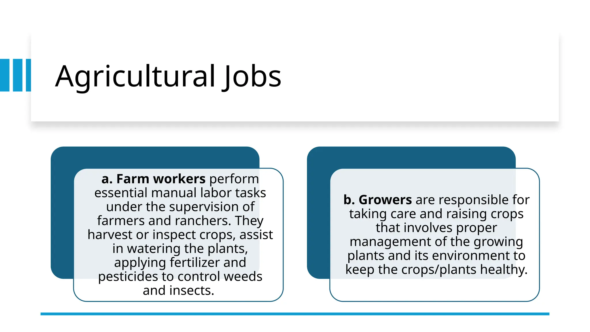 Grade 7 AFA - Career and Business Opportunities in Agriculture ...