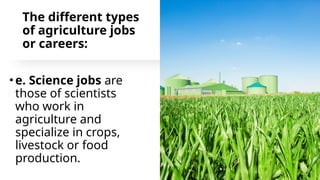 Grade 7 AFA - Career and Business Opportunities in Agriculture ...