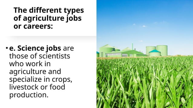 Grade 7 AFA - Career and Business Opportunities in Agriculture ...