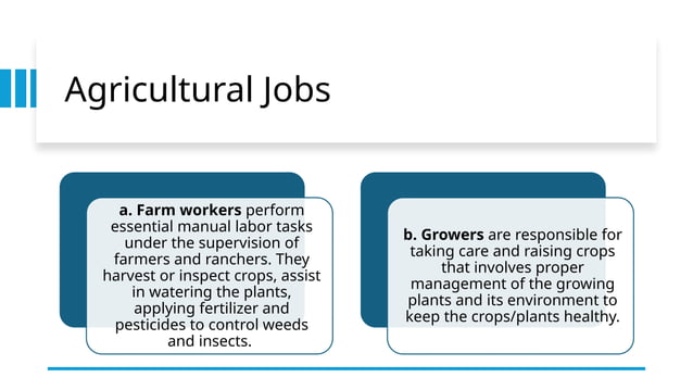 Grade 7 AFA - Career and Business Opportunities in Agriculture ...