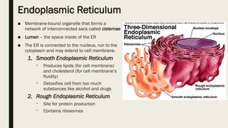 The Cell Structure and Functions in Biology | PPTX