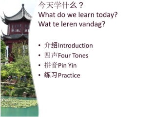 Lesson 1 chinese | PPTX