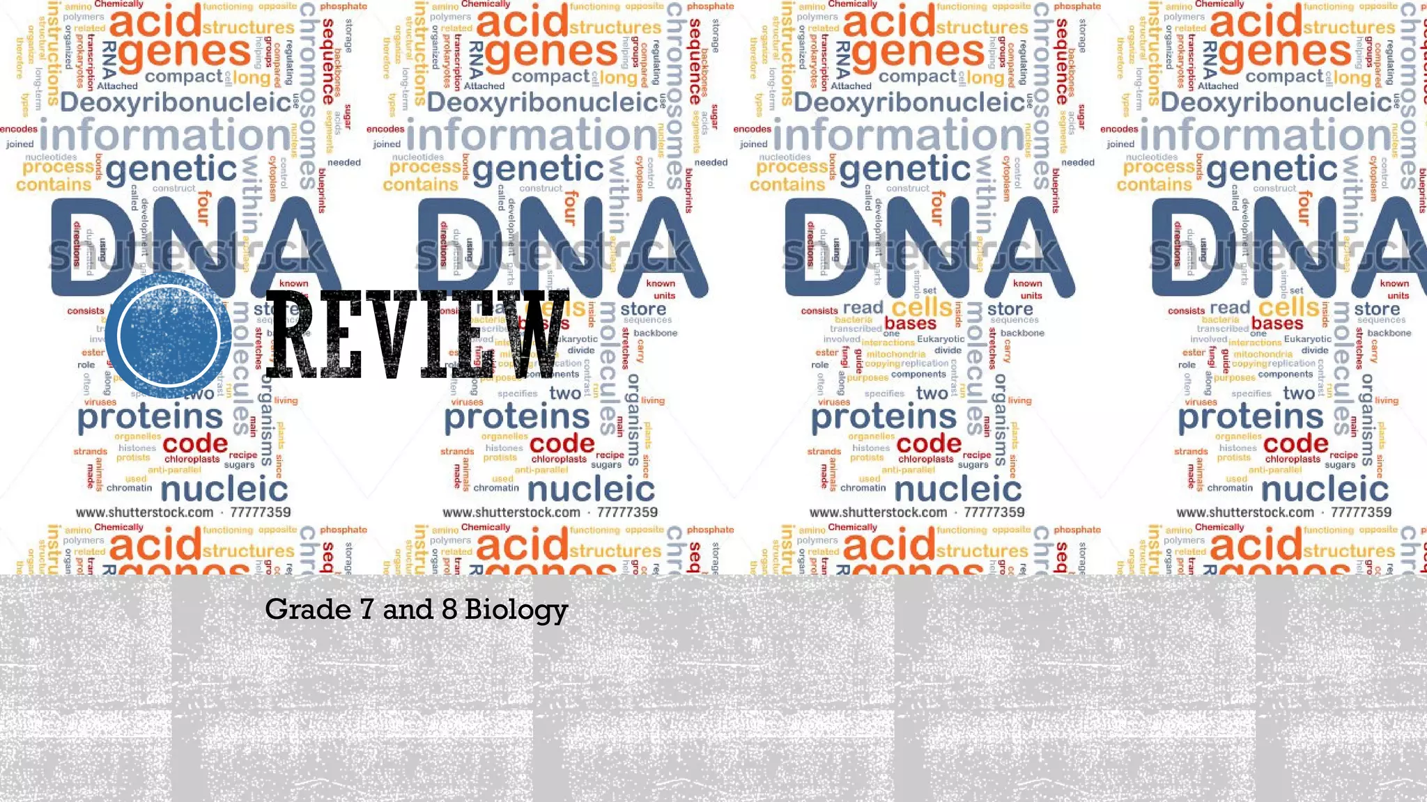 Grade 9 - Chromosomal basis of inheritance | PDF