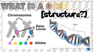 Grade 9 - Chromosomal basis of inheritance | PDF