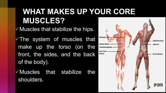 lesson1-coremusclegroup-corestabilityexsrcises-211013234022.pdf