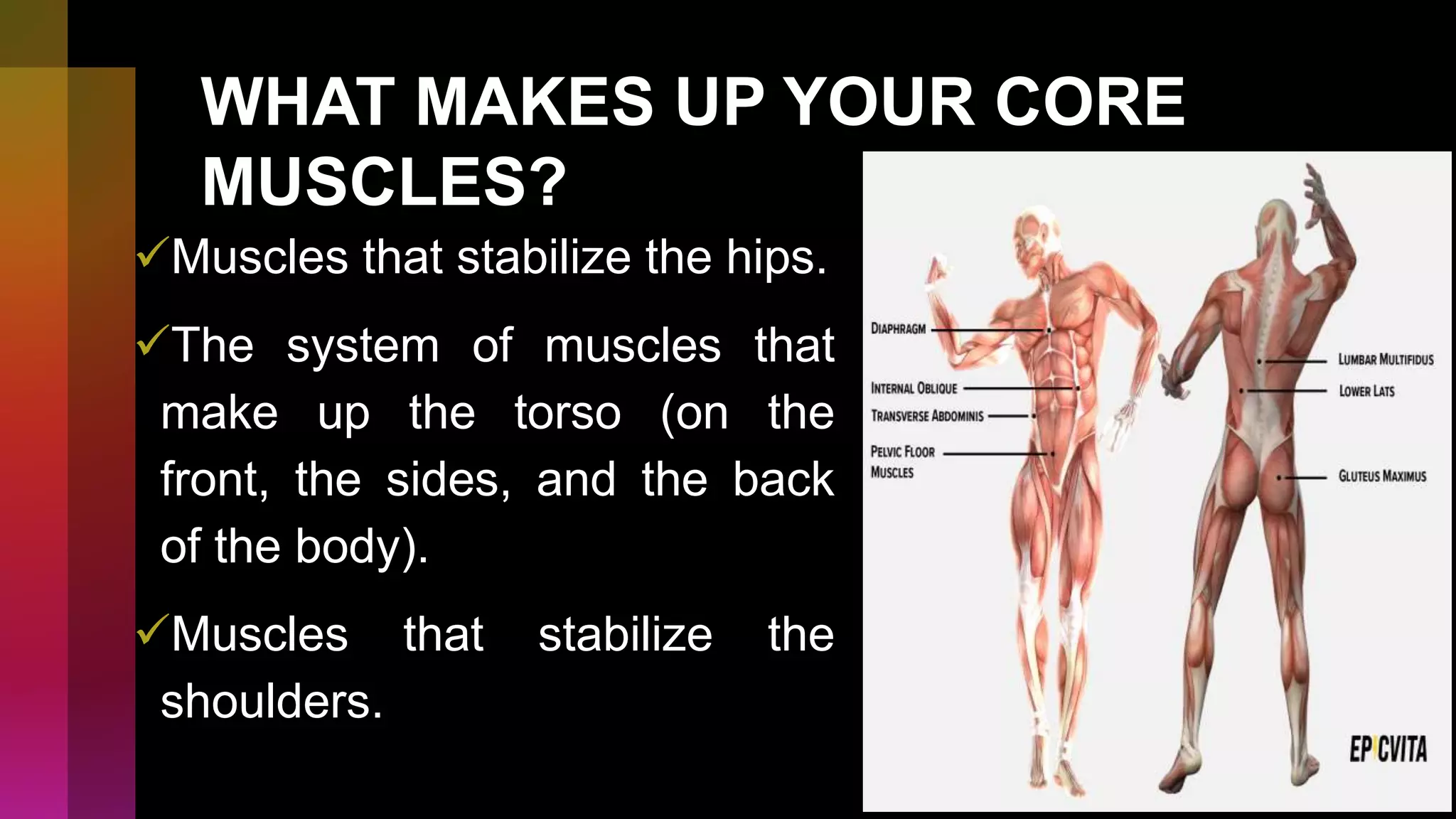 P.E. 2 - core muscle group- core stability exercises | PPTX | Physical ...