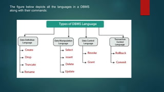 LESSON 1 - DATABASE MANAGEMENT SYSTEM.pptx