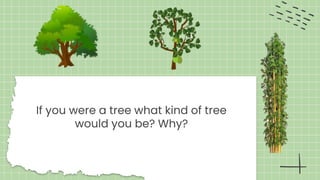 Lesson 1 declarative & interrogative | PPTX