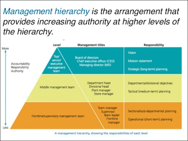 Lesson 1 different management structures