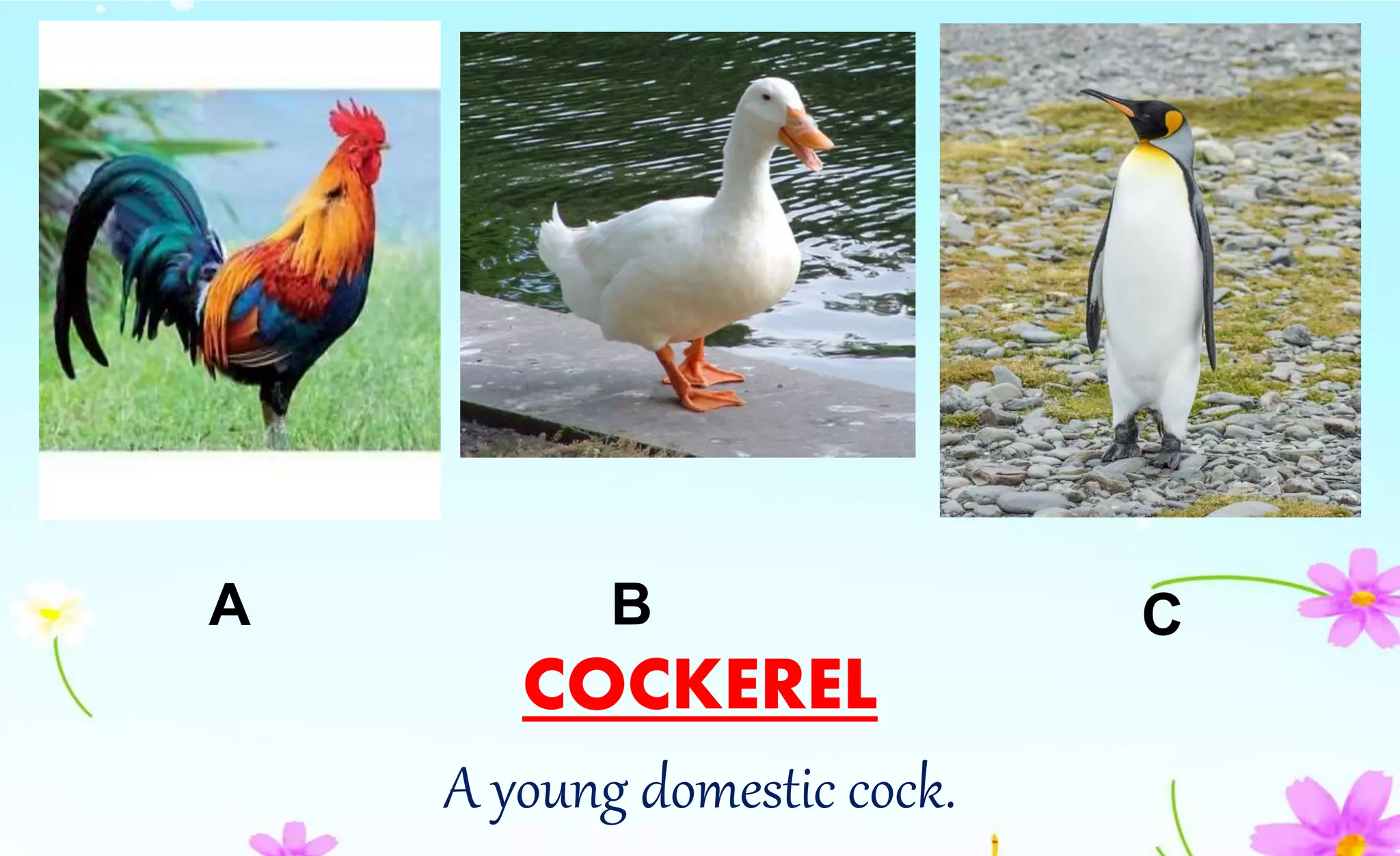 Lesson 1 elements of a fable | PPTX