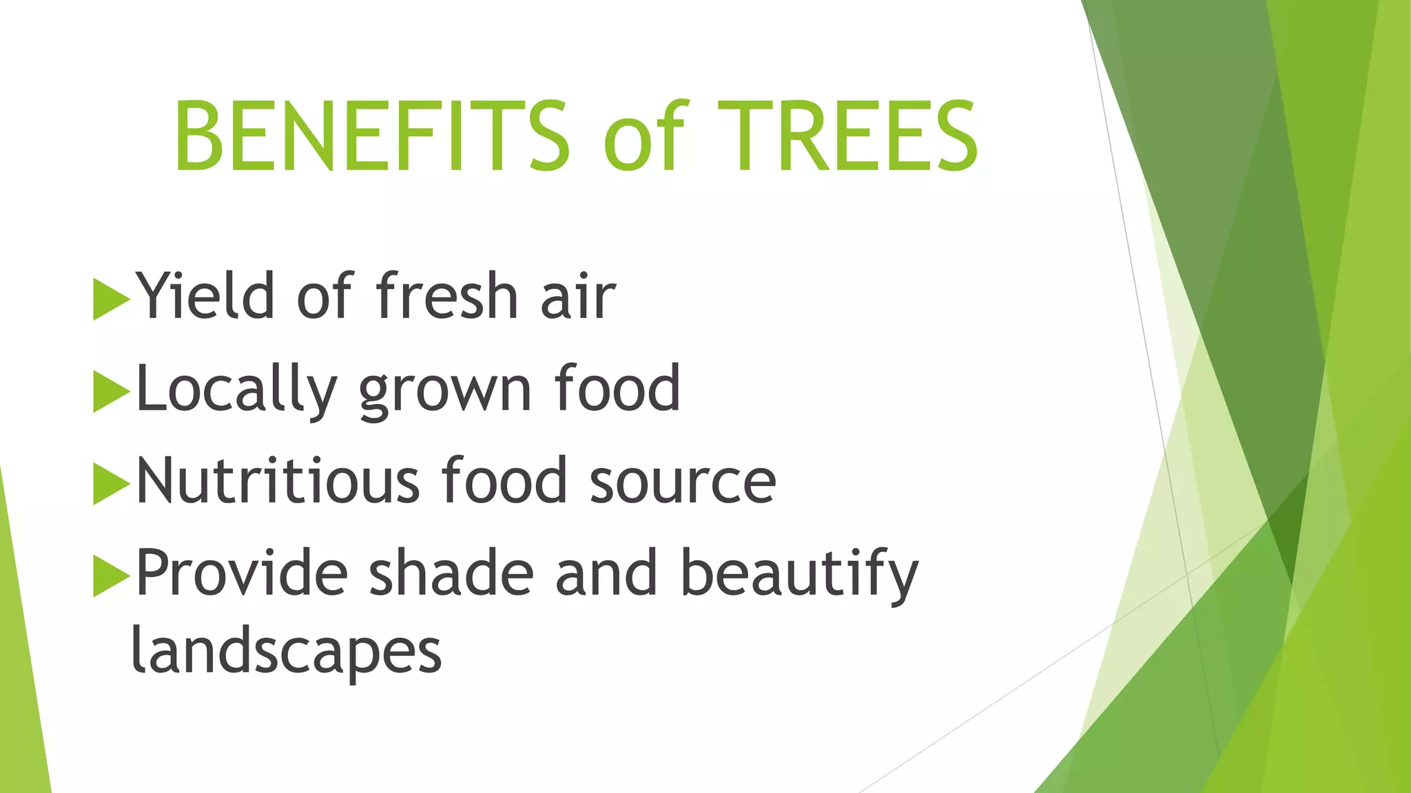 Lesson 1-Essential of Trees.pptx