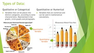 Lesson 1 exploring data | PPTX | Science
