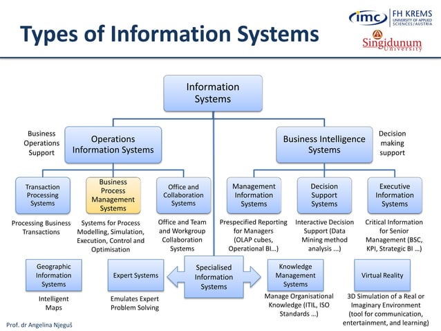 Lesson 1: Foundations of Information Systems | PDF