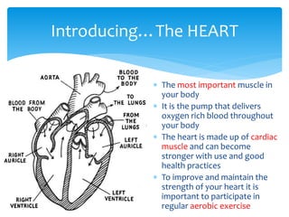 Lesson 1- Heart Rate | PPTX