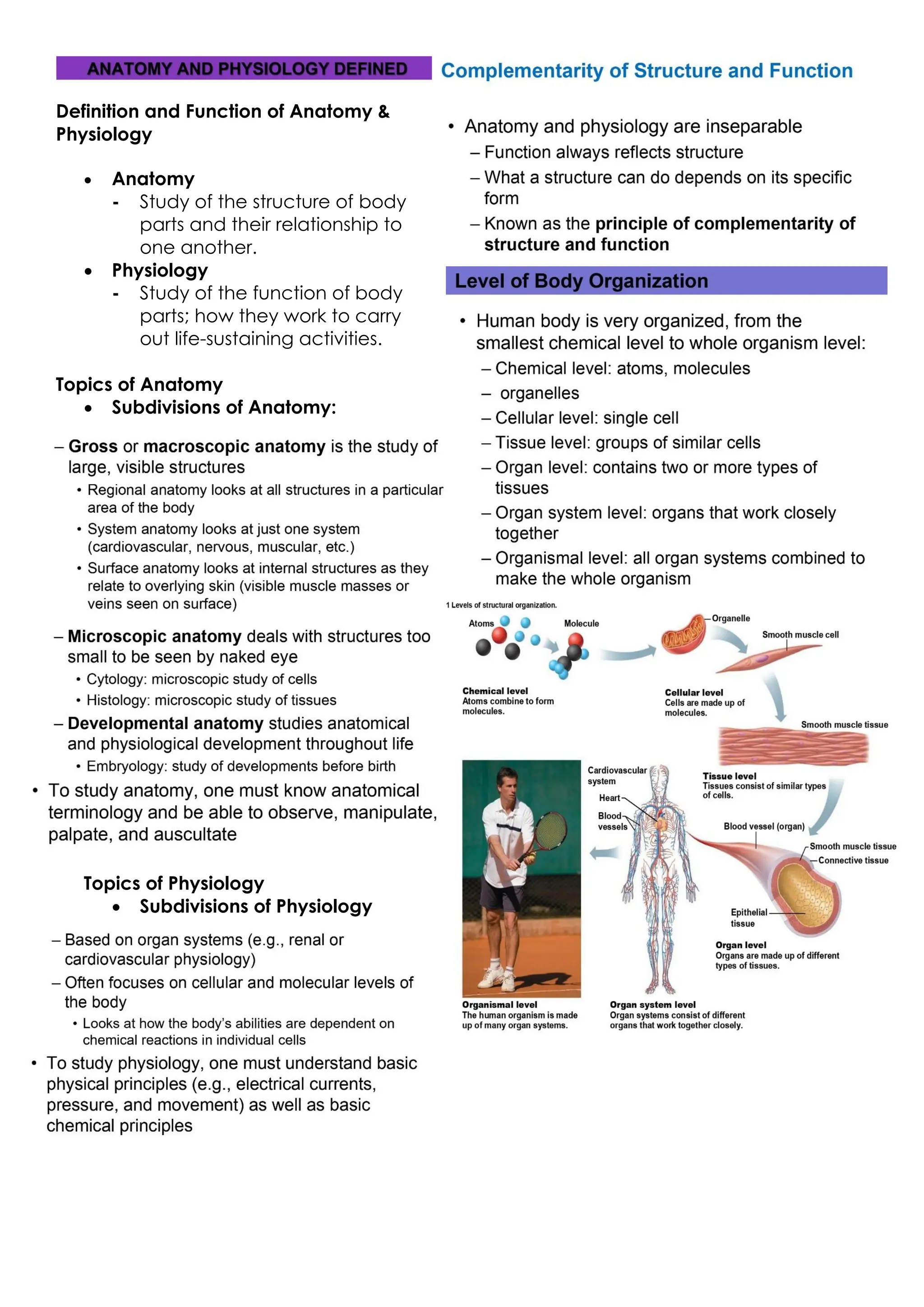 Lesson 1- Introduction to Anatomy & Physiology.pdf | Biological ...