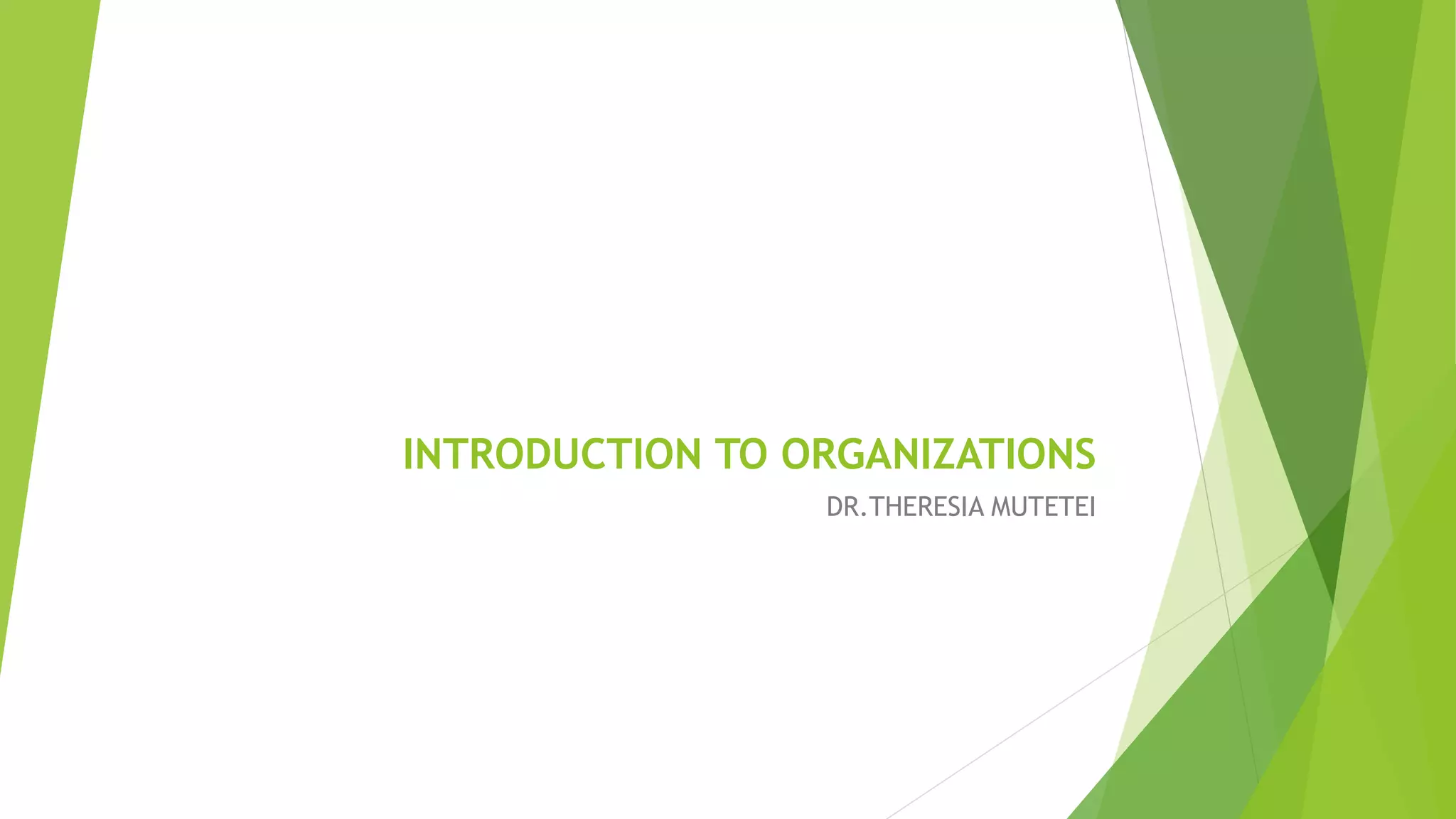 LESSON 1-INTRODUCTION TO ORGANIZATIONS.pptx