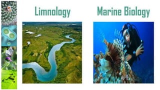 lesson 1-intro to bio1.pptx