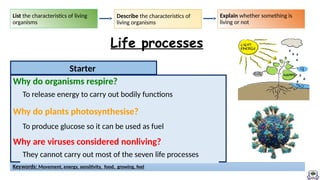 Lesson 1 - Life processes of Different organism | PPTX