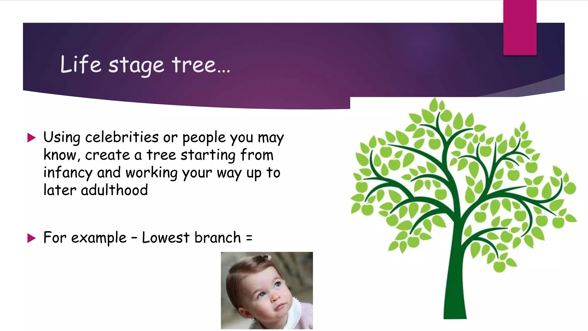 Lesson 1 life stages | PPT