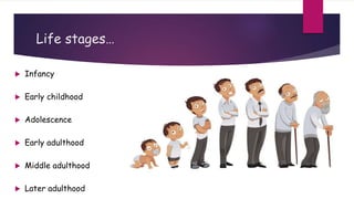 Lesson 1 life stages