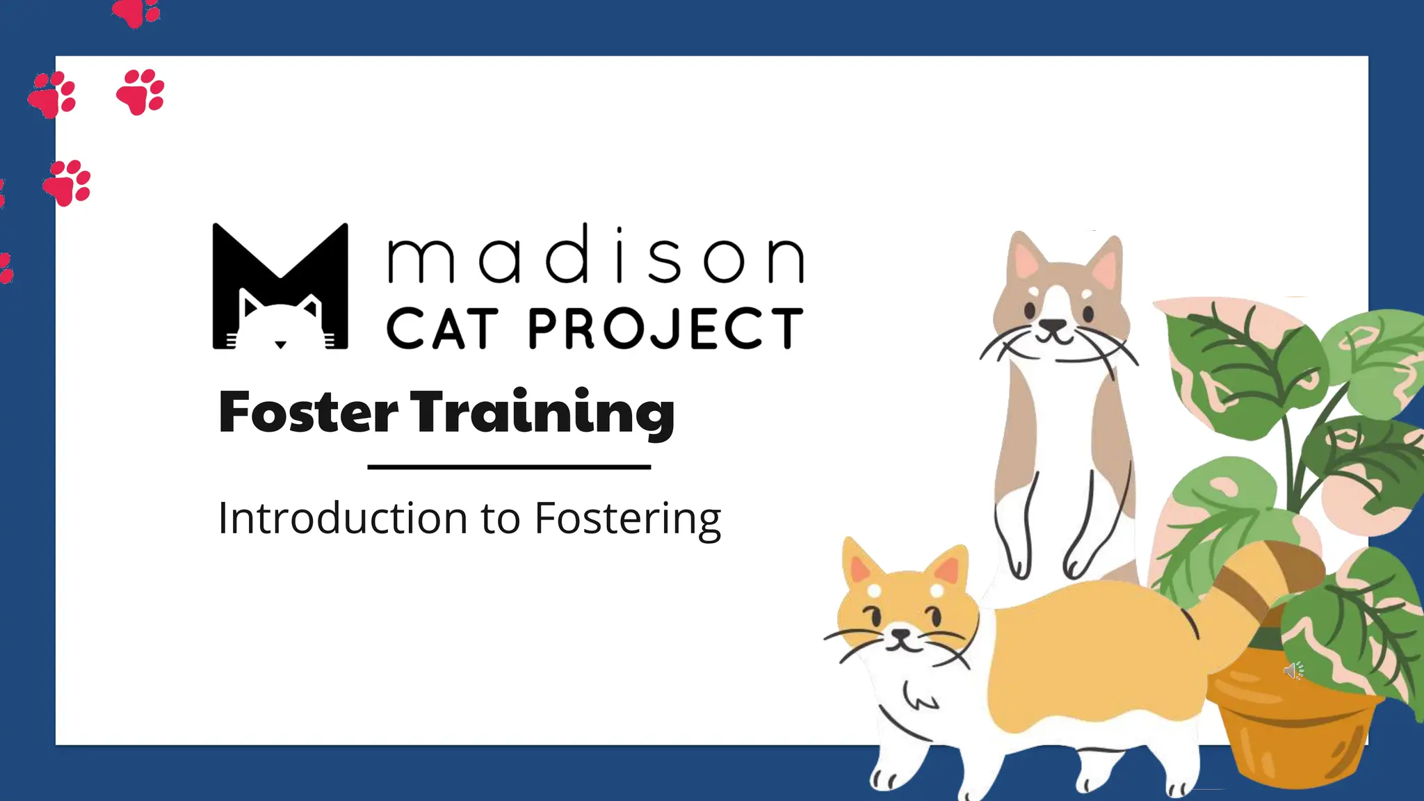 Madison Cat Project Foster Training - Lesson 1 | PPSX