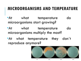 Lesson 1 - Microorganisms and food 2023.pptx