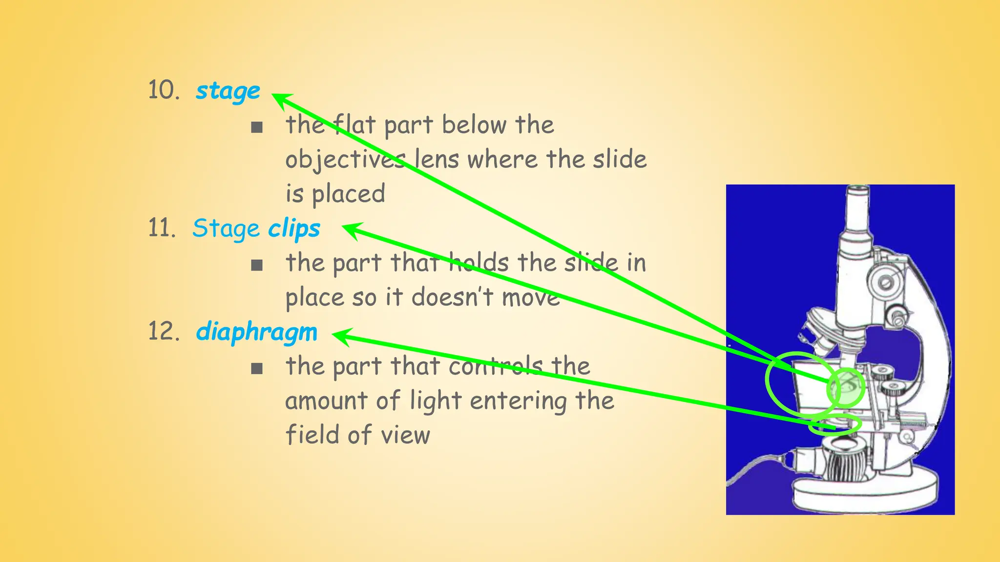 Grade 7 - Lesson 1 - Microscope and Its Functions | PDF