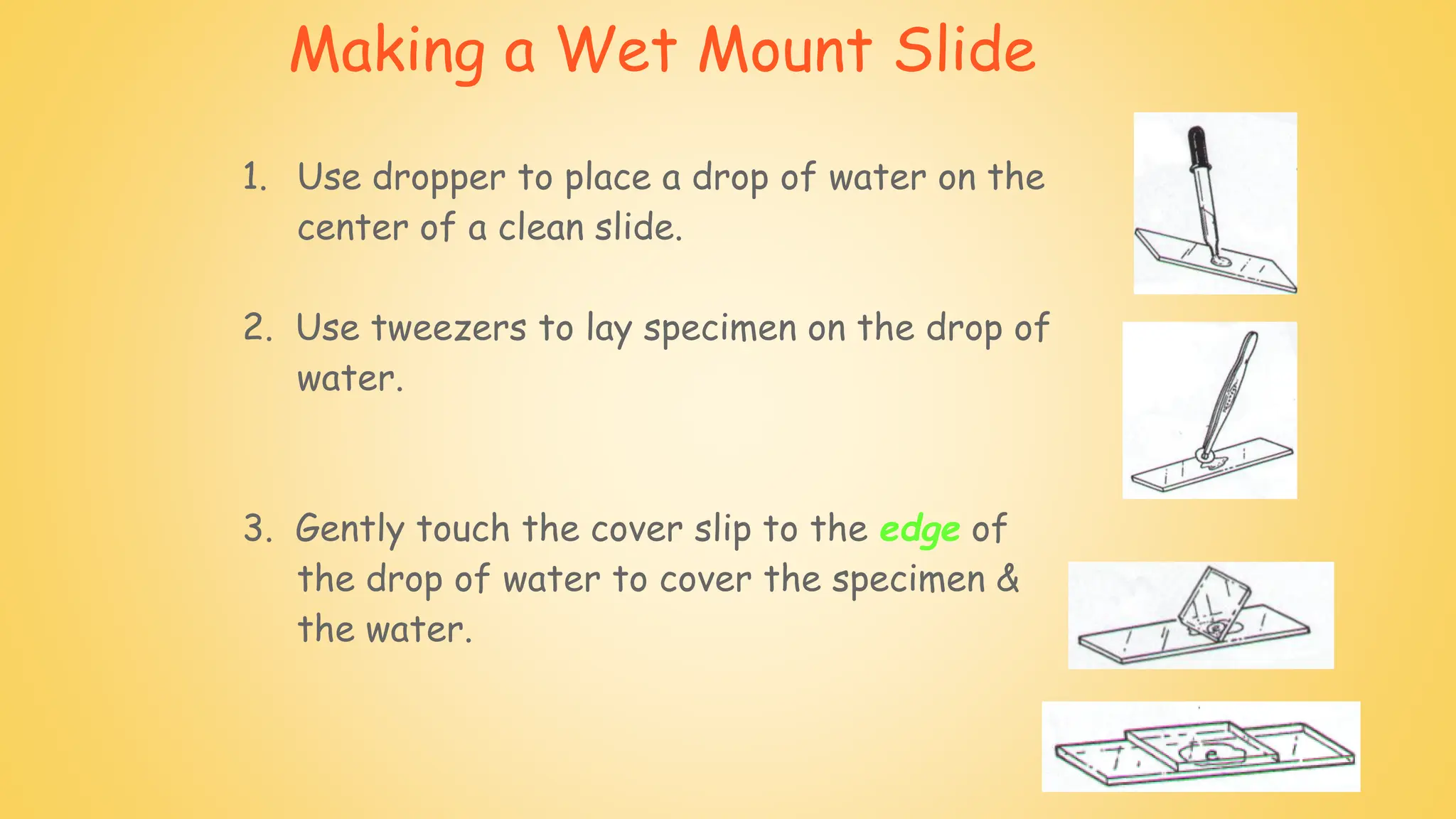 Grade 7 - Lesson 1 - Microscope and Its Functions | PDF