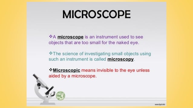 Grade 7 - Lesson 1 - Microscope and Its Functions | PDF | Physics | Science
