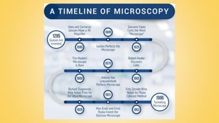 Grade 7 - Lesson 1 - Microscope and Its Functions | PDF