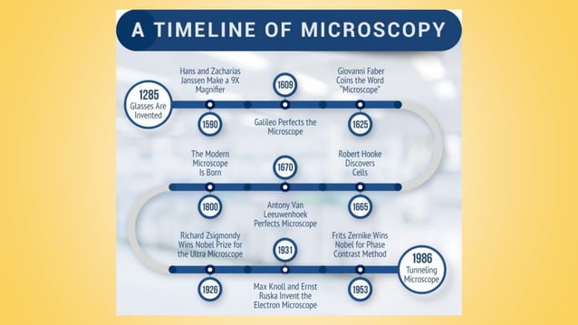 Grade 7 - Lesson 1 - Microscope and Its Functions | PDF | Physics | Science