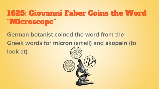 Grade 7 - Lesson 1 - Microscope and Its Functions | PDF | Physics | Science