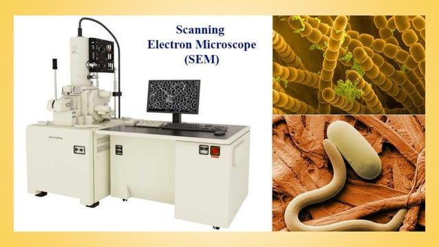 Grade 7 - Lesson 1 - Microscope and Its Functions | PDF | Physics | Science