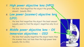 Grade 7 - Lesson 1 - Microscope and Its Functions | PDF
