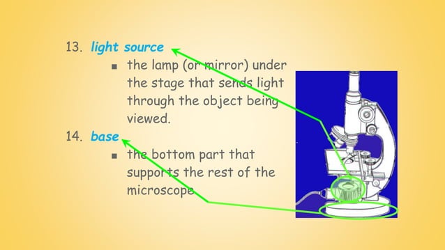 Grade 7 - Lesson 1 - Microscope and Its Functions | PDF | Physics | Science