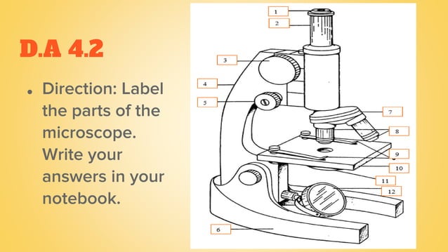 Grade 7 - Lesson 1 - Microscope and Its Functions | PDF | Physics | Science