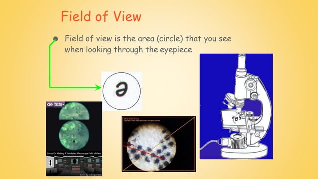 Grade 7 - Lesson 1 - Microscope and Its Functions | PDF | Physics | Science