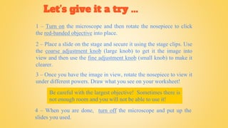 Grade 7 - Lesson 1 - Microscope and Its Functions | PDF