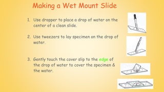 Grade 7 - Lesson 1 - Microscope and Its Functions | PDF